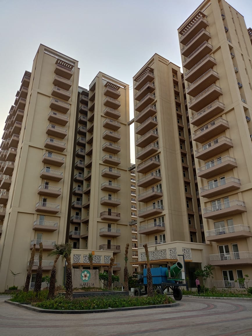 Silverglades | The Melia